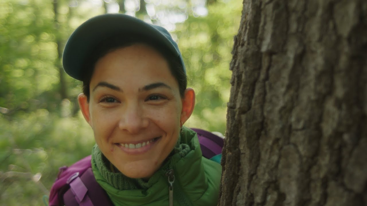 Dida Pelled- MELODY (Official Music Video) - YouTube