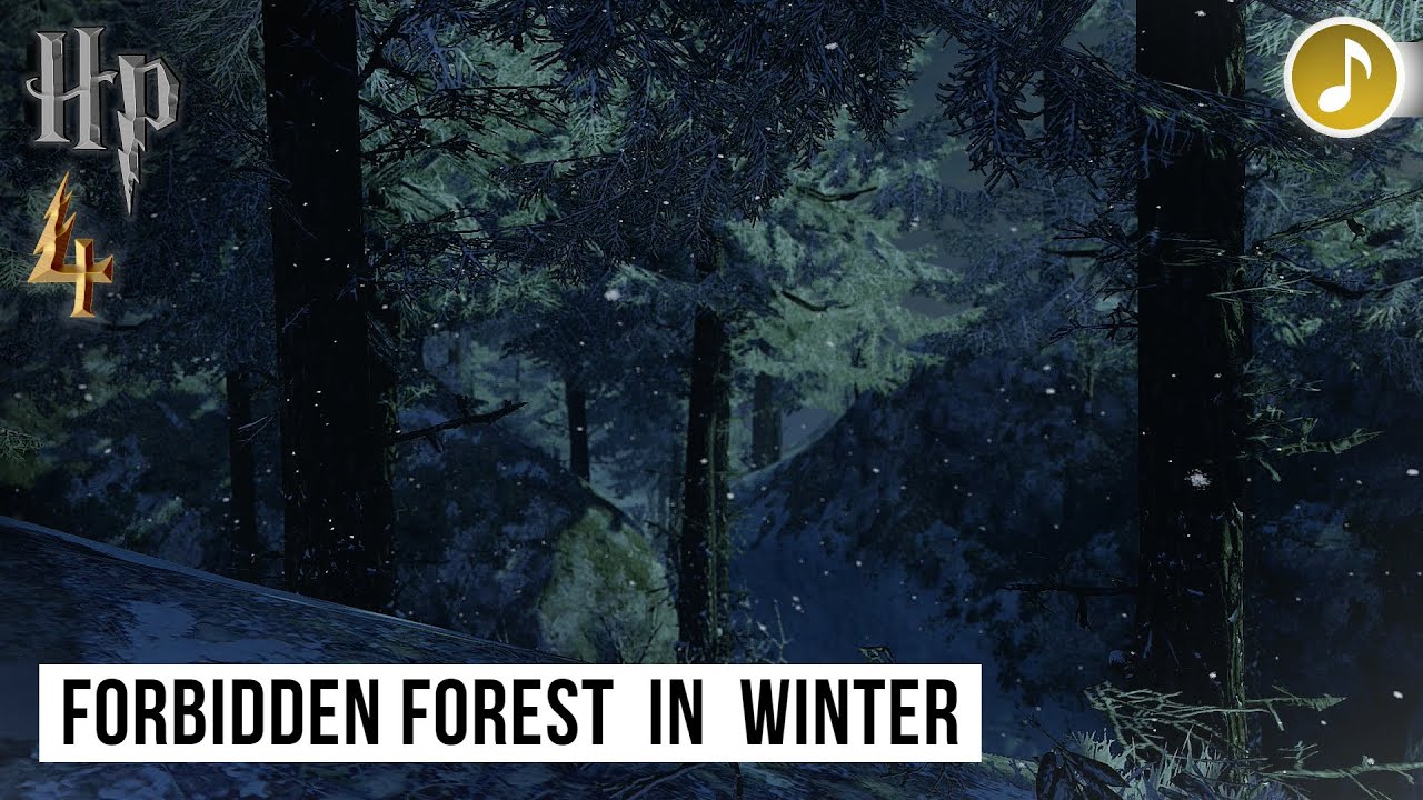 HP4 - Ambience & Music ⚡️ Forbidden Forest in Winter - [HD ASMR ...