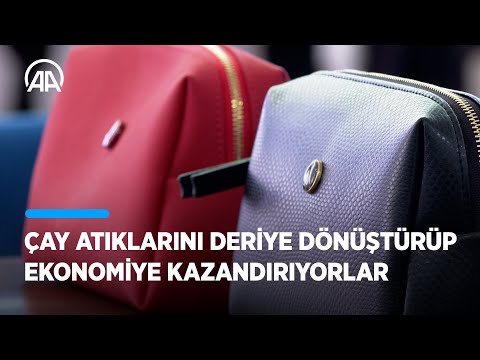 Çay atıklarını deriye dönüştürüp ekonomiye kazandırıyorlar