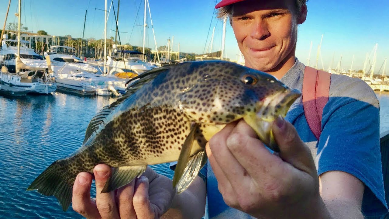 Spotted Bay Bass Fishing! - YouTube