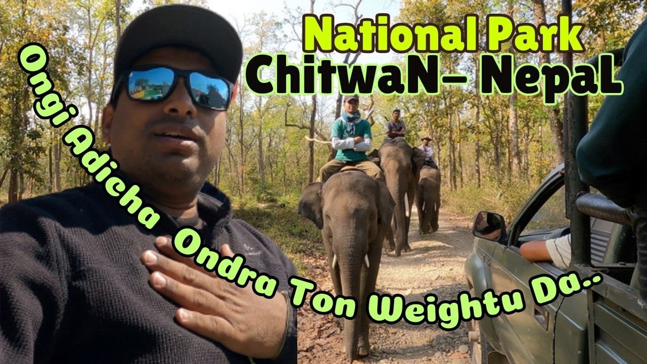 Chitwan National Park-இல் இதயத்தையும் மனதையும் தொலைத்தேன் | Wild Life ...