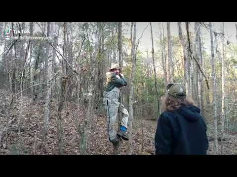 Paw and Jr climb a tree to escape hawgzilla - YouTube