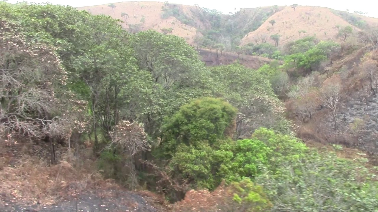 Rivers seen from the TAZARA railway line - YouTube