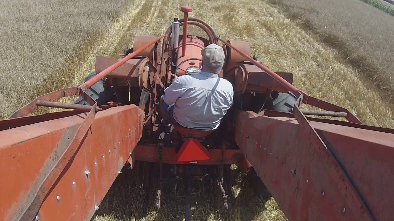Albert City 2017 Case IM Corn Picker - YouTube