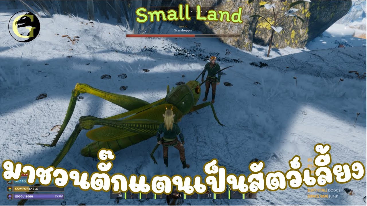 Small Land มาดูวิธีการจับเจ้าตั๊กแตนมาเป็นสัตว์เลี้ยงกัน - YouTube