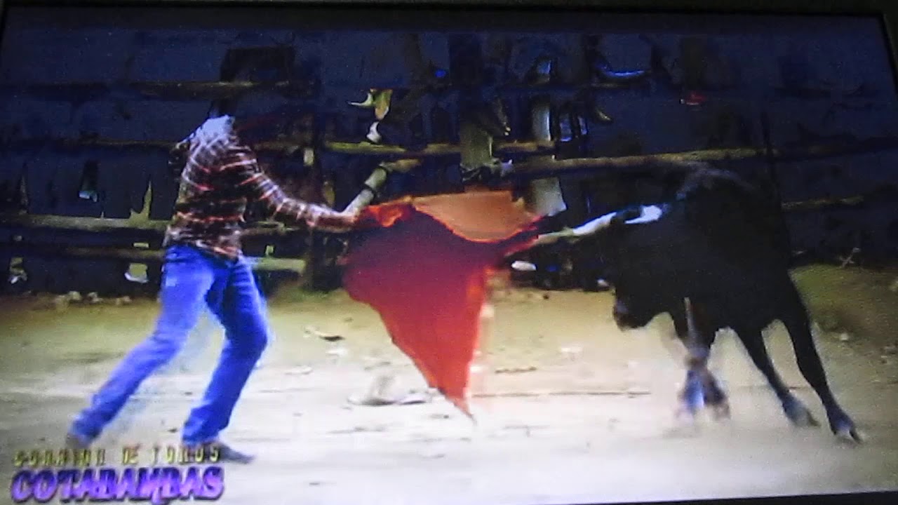 Tip top del Torero y el toro negro - YouTube
