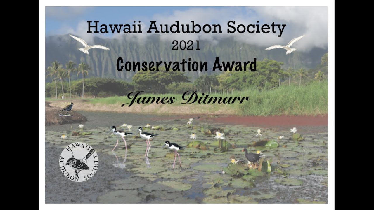James Dittmar Hawaii Audubon Society Award Presentation Nov 2021 - YouTube