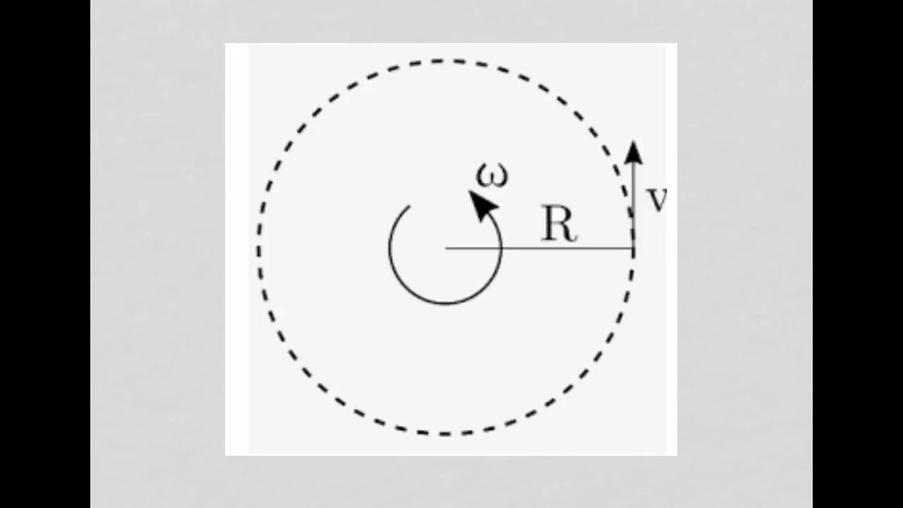 Movimiento circular: Relación entre la velocidad angular y la velocidad ...