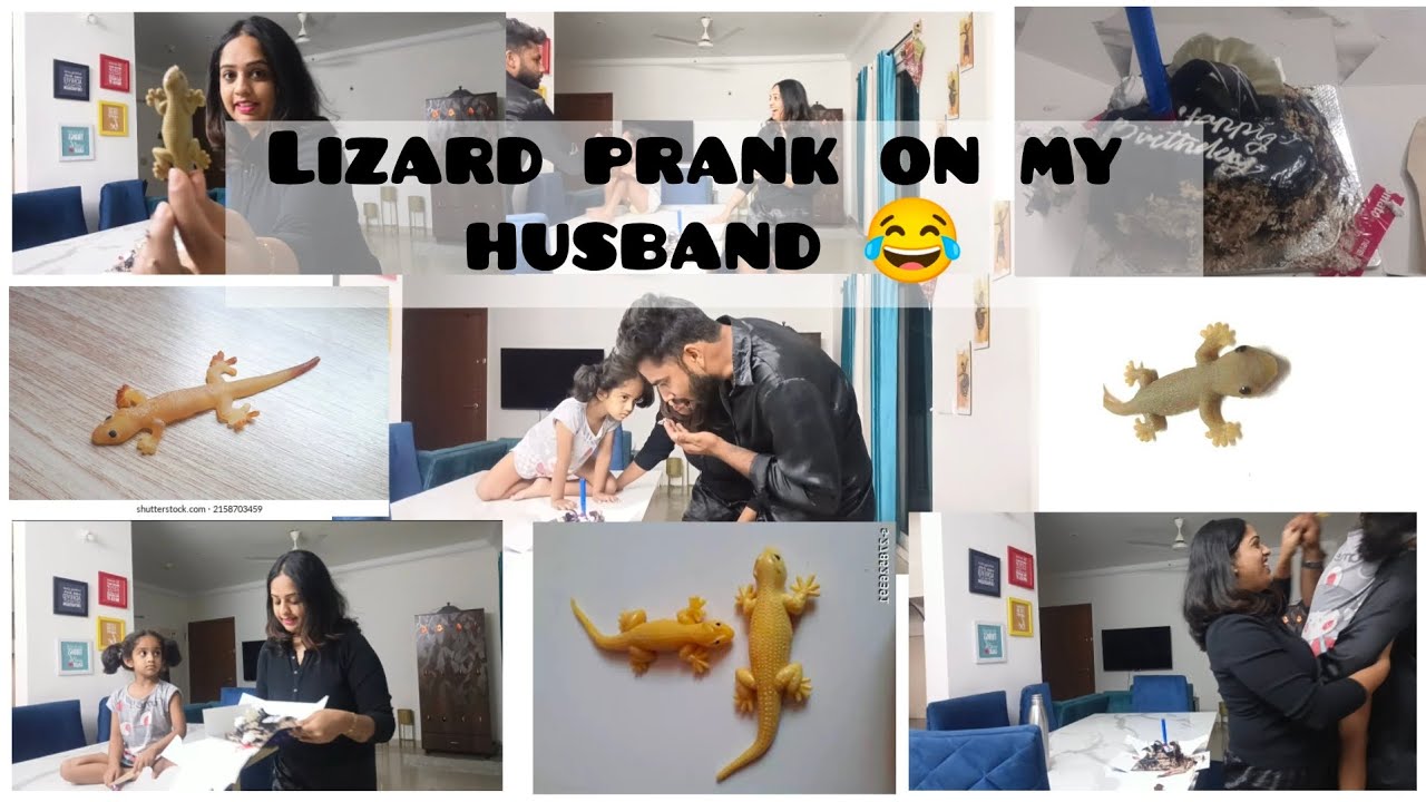 Lizard prank on my husband for his birthday| gifted him a new pet ...