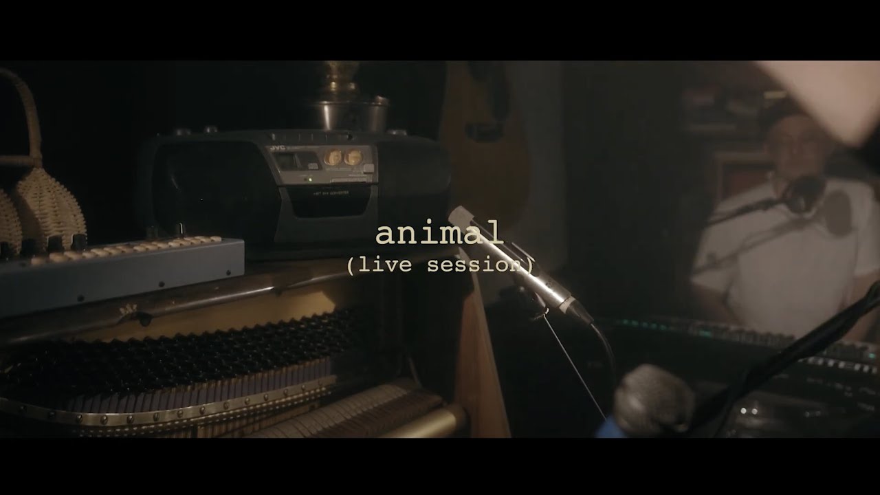 Gareth Dunlop - Animal [Live Session] - YouTube