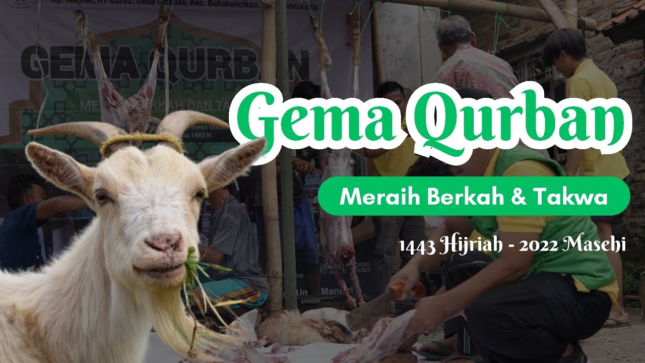 KEGIATAN BERQURBAN, Hari Raya Idul Adha 1443 H - 2022 M - YouTube