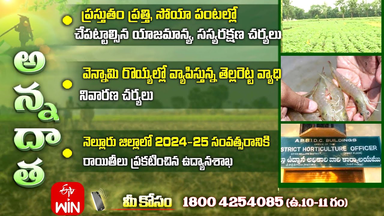 1st August 2024 | Annadata | అన్నదాత | Full Episode | ETV Telugu - YouTube