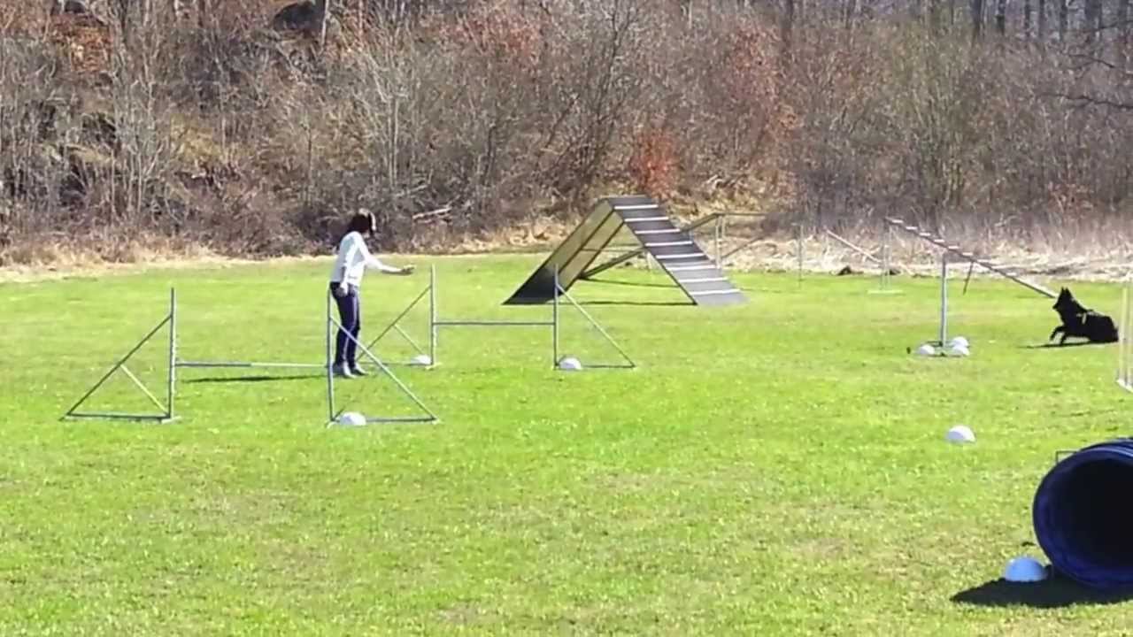 Agilityträning 20/4 - YouTube