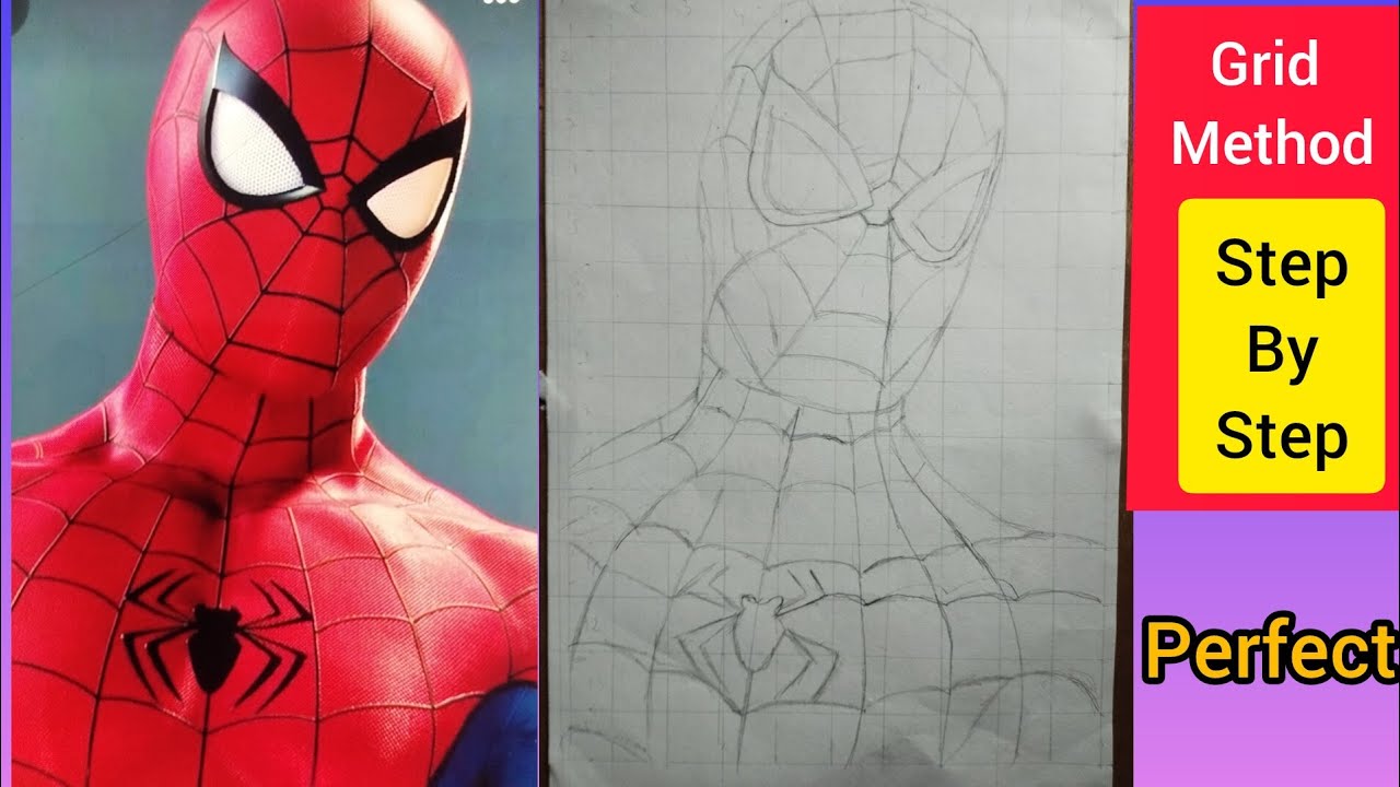spider man drawing sketch# outline tutorial# perfect outline grid ...