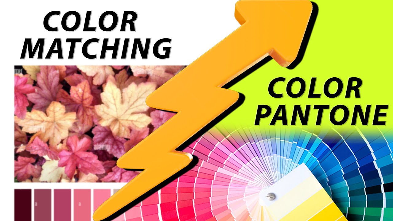 How to Match Color of Design || Matching Color ||What is digital color ...