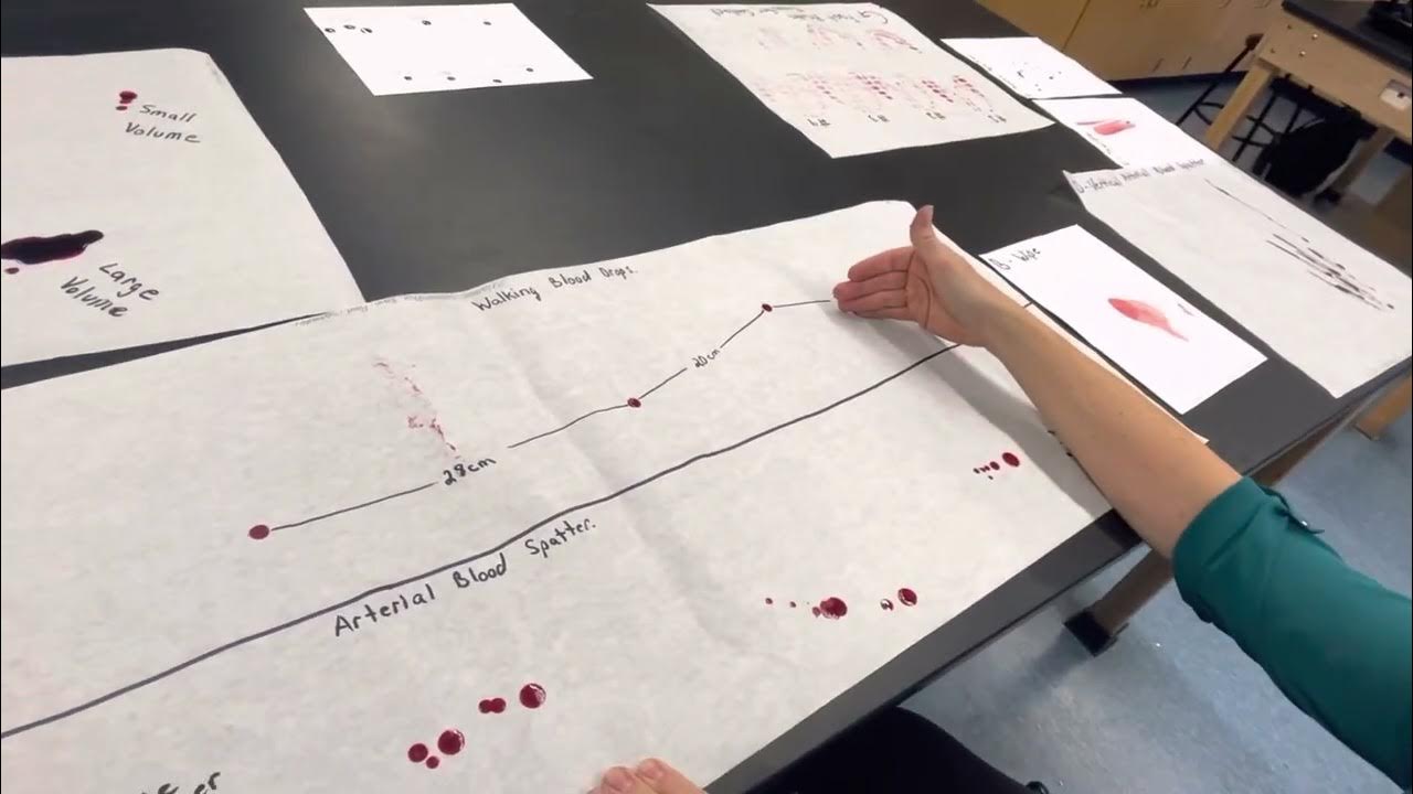 Forensics science: Blood Spatter Lab Part B - YouTube