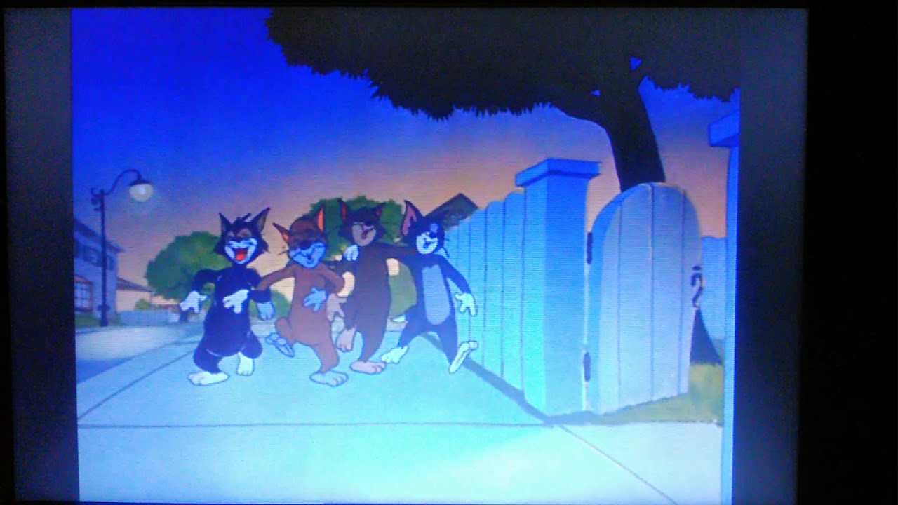 Tom and Jerry - Sleepy Time Tom [1951] - YouTube