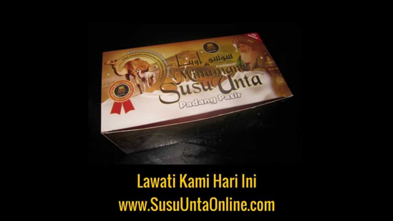 Khasiat & Kelebihan Susu Unta Dalam Pemakanan - YouTube