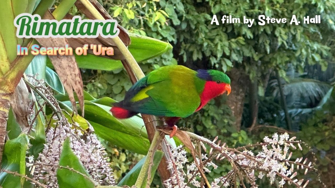 Rimatara - In Search of 'Ura - YouTube