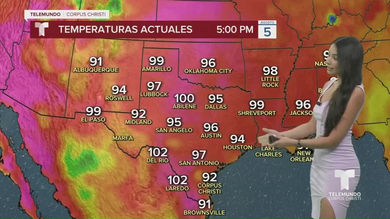 Zuleika Soler Telemundo Digital 8.5.24 - YouTube