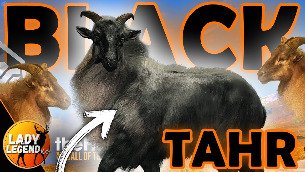 The MOST STUNNING RARE of the TAHR Great One GRIND!!! - Call of the ...