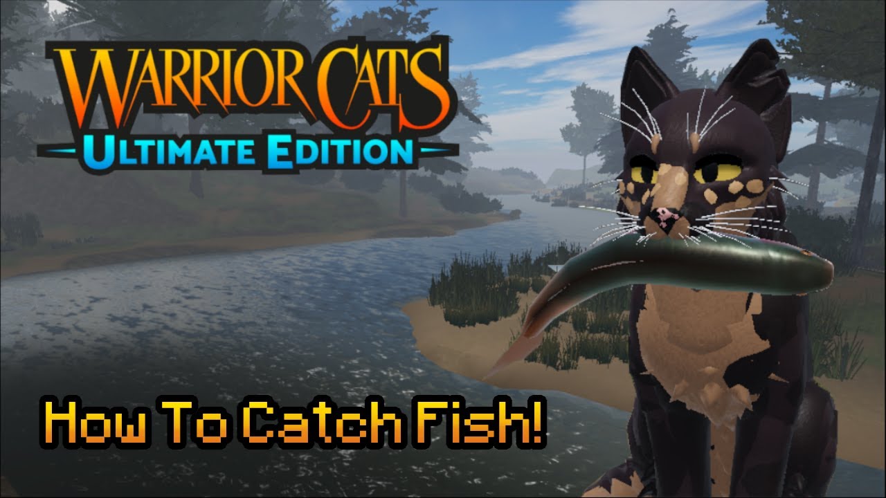 WCUE: How To Catch A Fish - YouTube