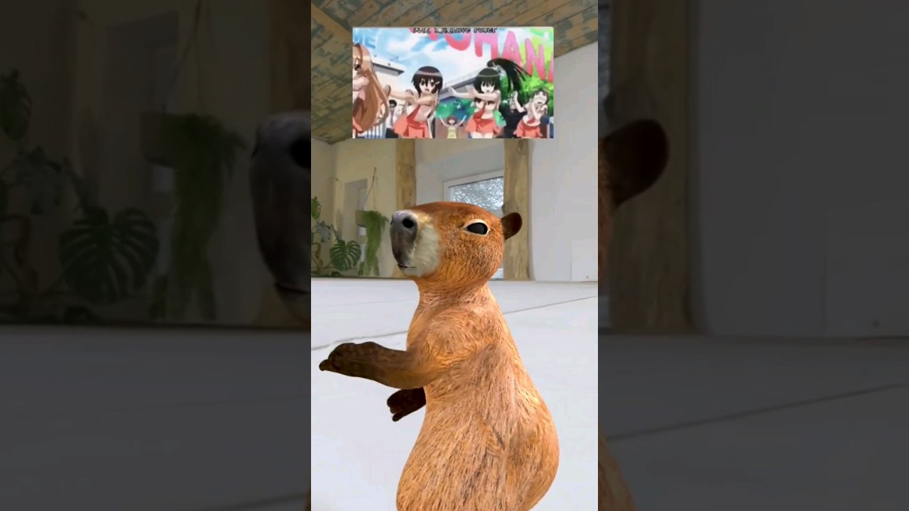 Capybara Dance 🥵 || #funny #capybara #dance - YouTube