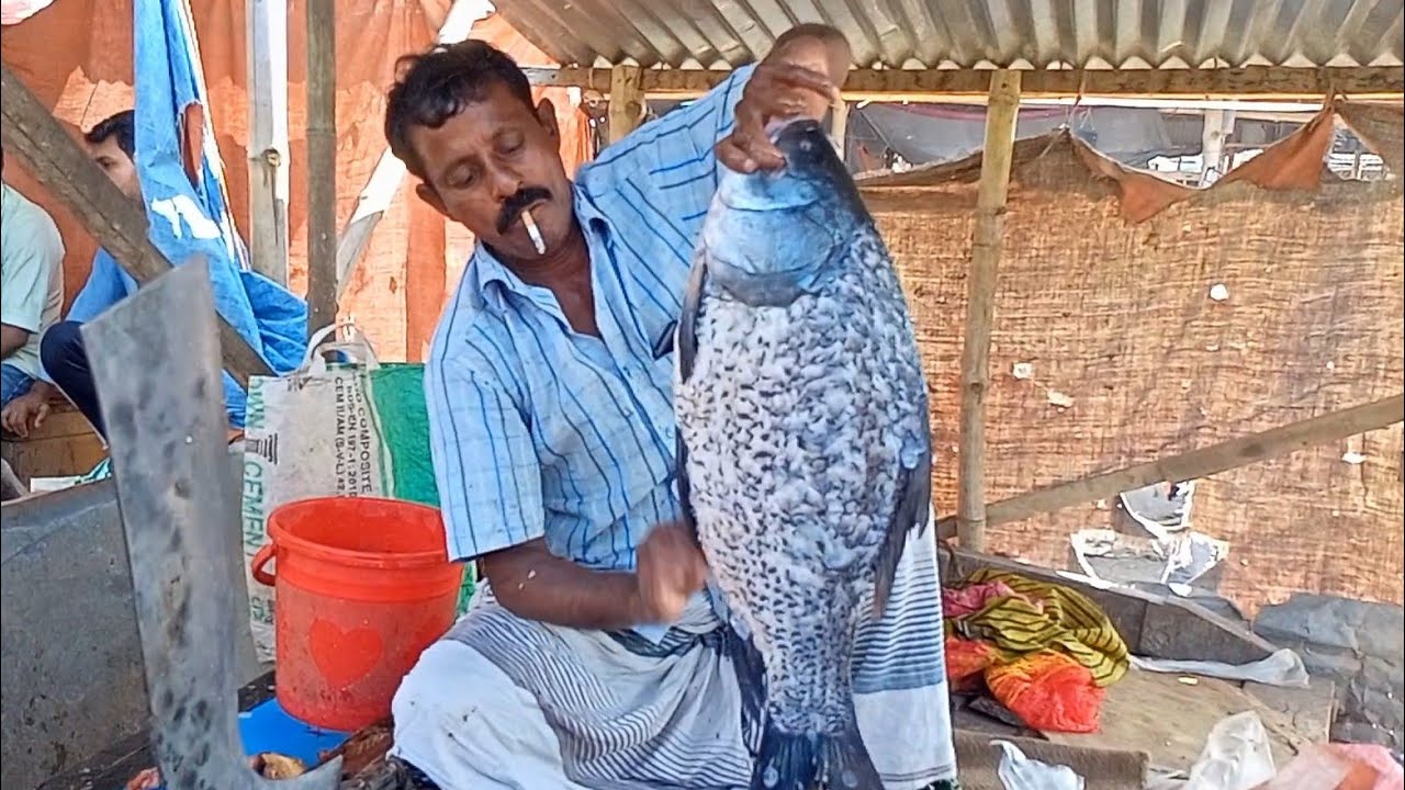 Deshi fish illsha Fish Cutting Skills | Bangladesh Ilsha Fish Cutting ...