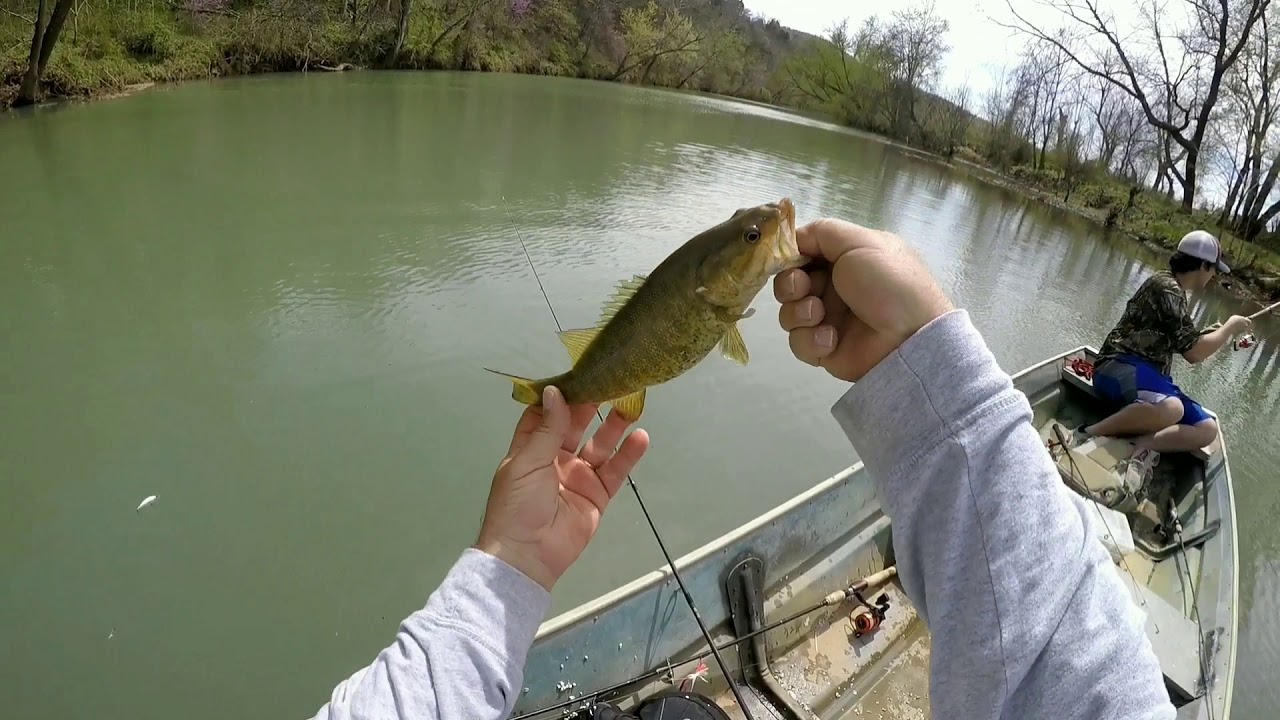 Kings River Northwest Arkansas quarantine fishing - YouTube