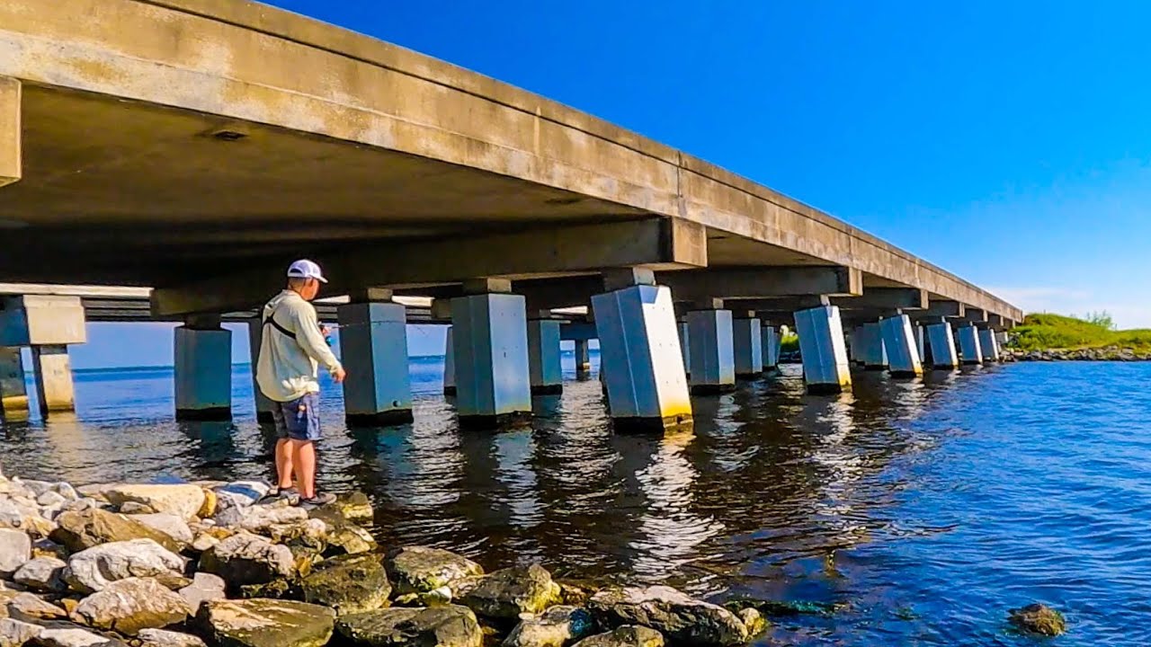 This is Why You Fish Small Bridges in Florida! - YouTube