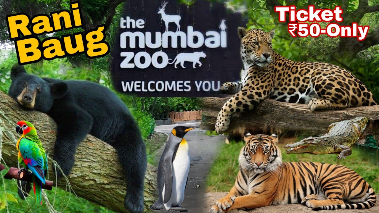 The Mumbai Zoo | Veermata Jijabai Bhosale Udyan | Complete Tour 2023 ...