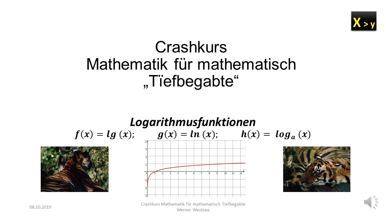 Logarithmusfunktion Einfache Wurzelfunktionen