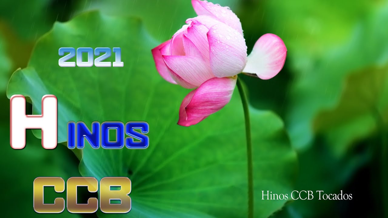 Ccb Hinos Cantados Melhores Hinos CCB Para Ouvir em Comunhão - YouTube