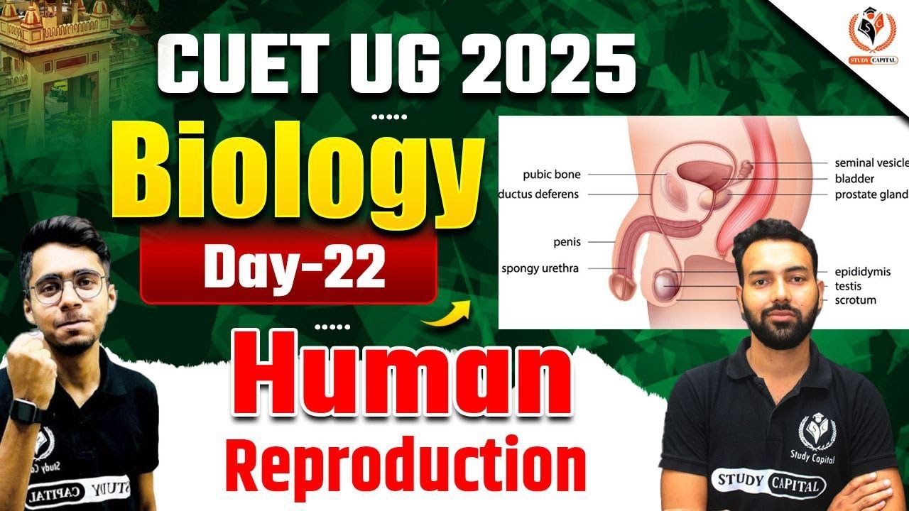 Class 12th Biology | Human Reproduction Part 5 | NCERT Class 12th ...