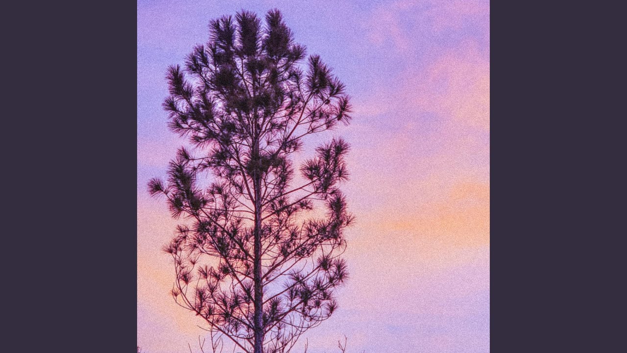 Reclusivity and Condolence - YouTube