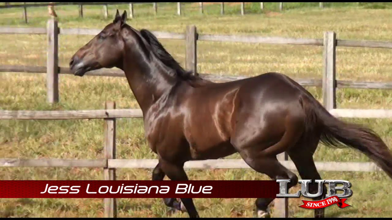 JESS LOUISIANA BLUE - YouTube