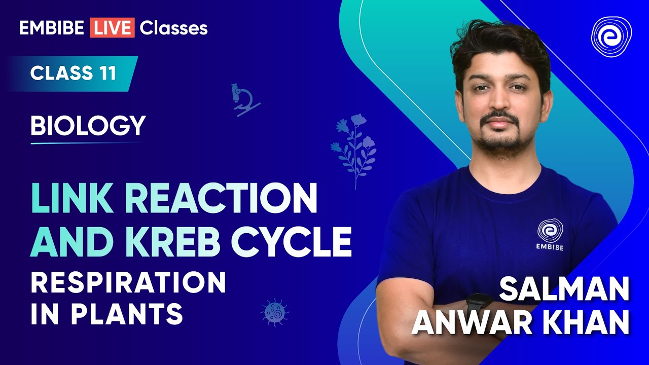 Link Reaction and Kreb Cycle | Respiration in Plants | Biology Class 11 ...