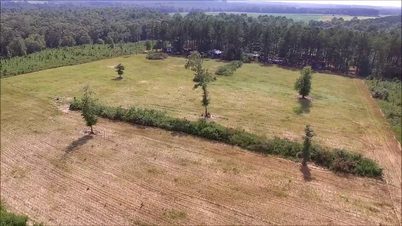 Dove field take two 8/11/18 - YouTube