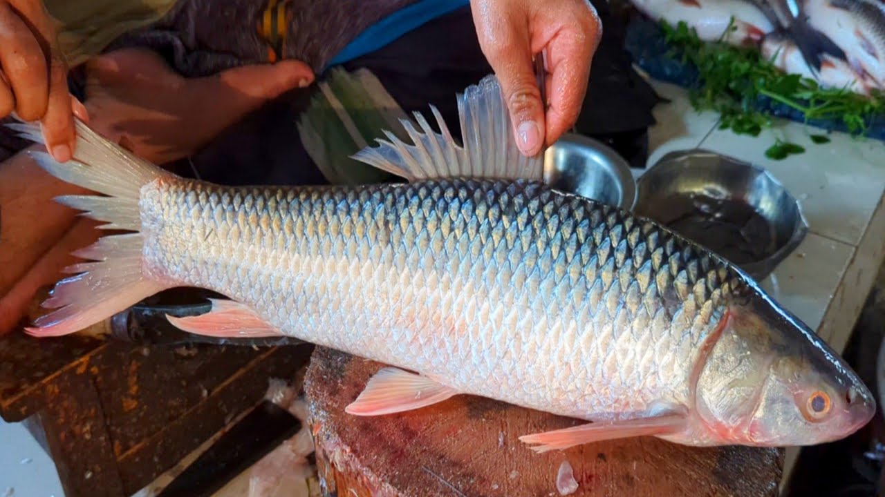 Amazing Mrigal Fish Cutting Skills In Bangladesh Fish Market By Expert ...