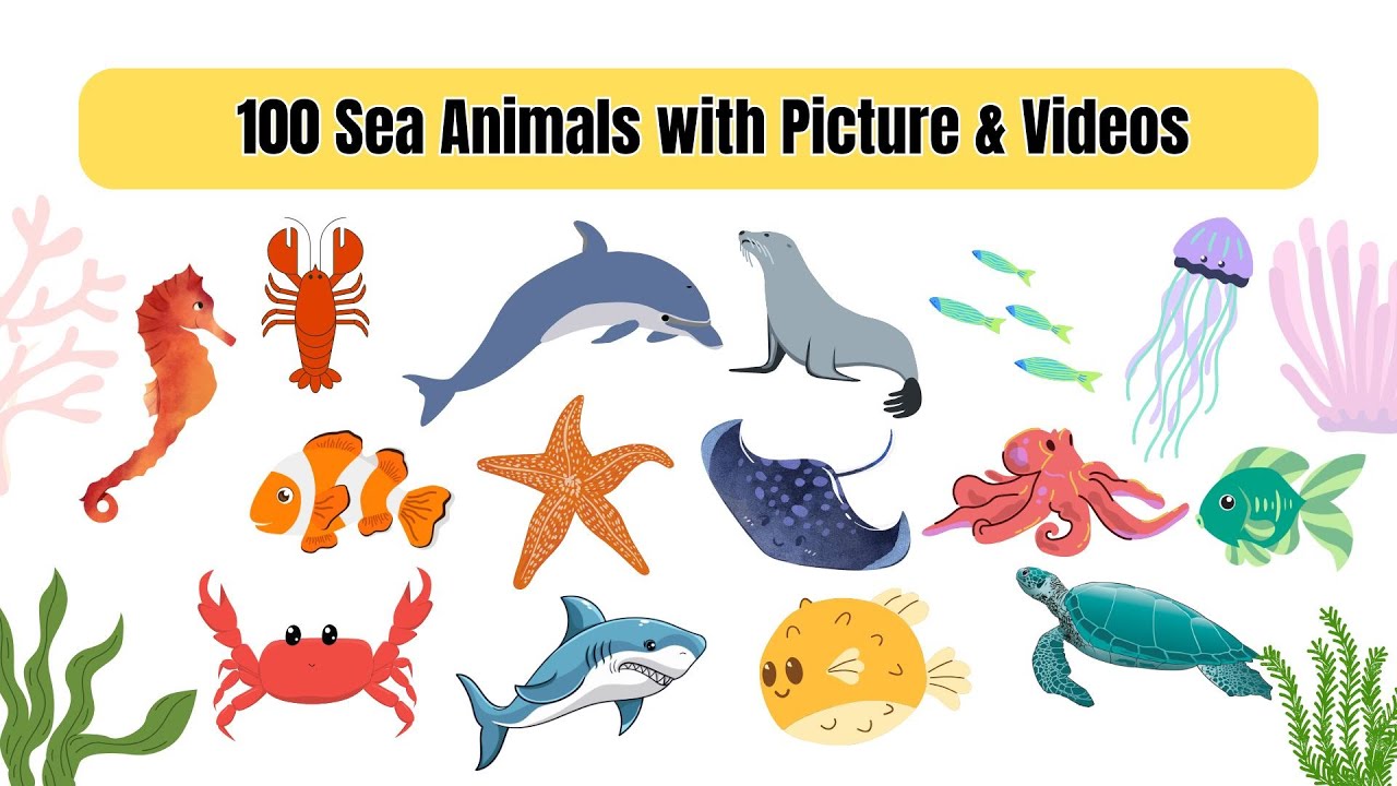 Sea Animals |100 Sea Animals In English | Kids vocabulary | English ...