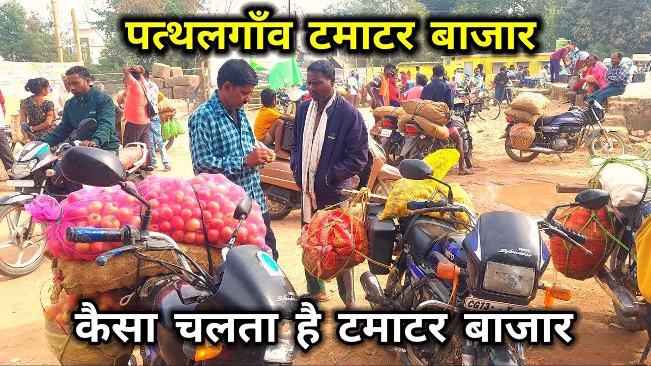 Pathalgaon tamatar bajar/ पत्थलगाँव टमाटर बाजार / Jashpur Chhattisgarh ...