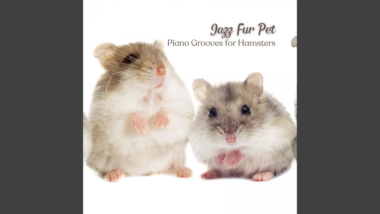 Harmonious Hamster Jam - YouTube