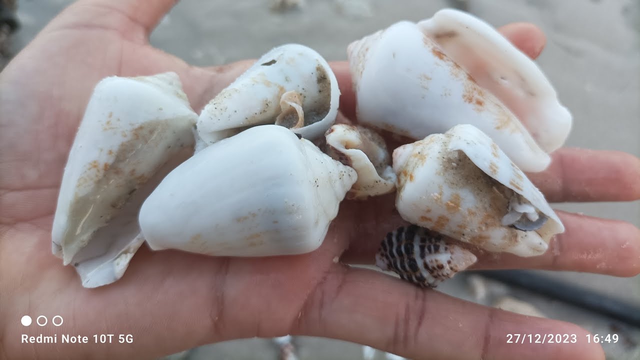 #OFF DAY 👍 ️ Beautiful Mahboula Beach #kuwait Side ️ ️🤟😎📍🤘🤣🧡 - YouTube