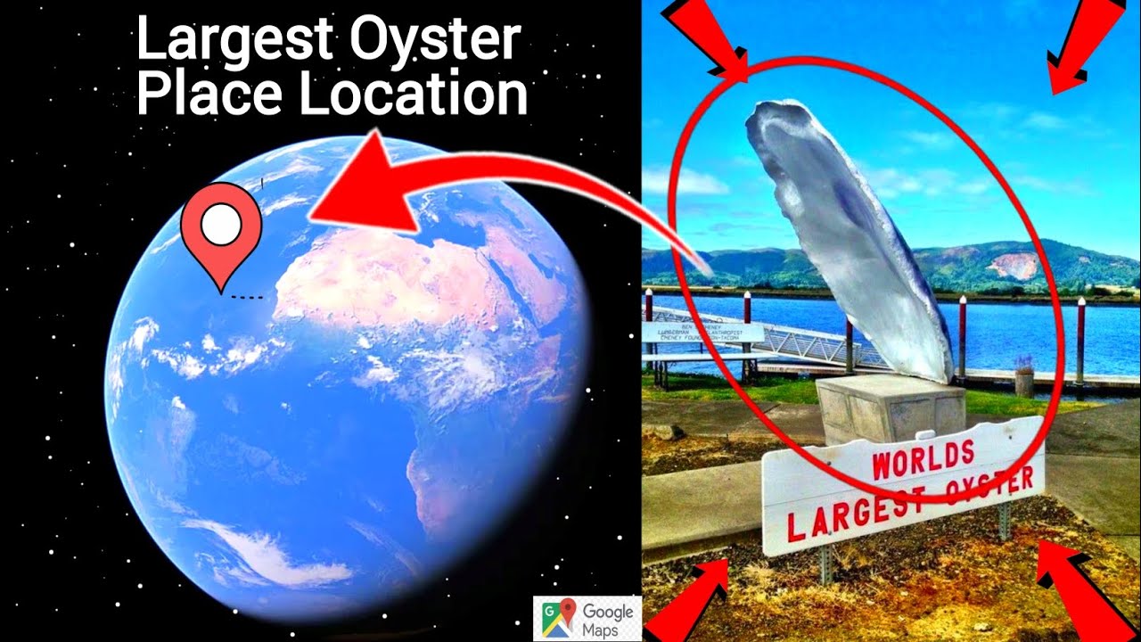 I Found Largest Oyster 🦪 On Google Earth Google maps #googlemaps # ...
