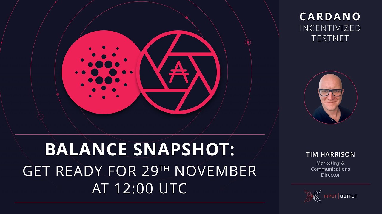 Balance snapshot for Shelley Incentivized Testnet scheduled for 29th ...