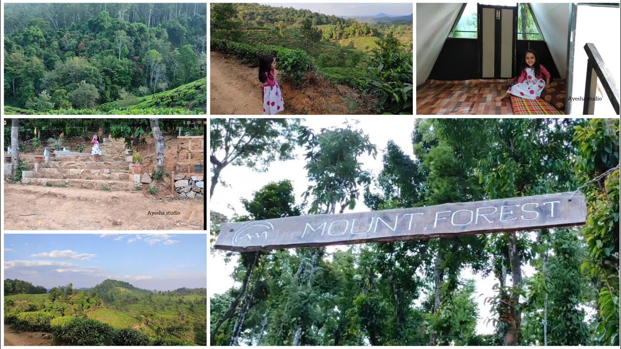 wayanad | meppadi | Mundakai |പതിനാറ്| home stay |Mount Forest. - YouTube