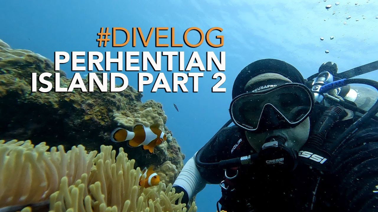 #DIVELOG Perhentian Island 2023: Dive with Angel Diver - Part 2 0F 2 ...