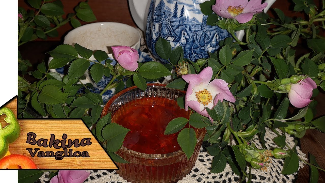 Epizoda 162 - Slatko od divlje ruže / Wild rose sweet - YouTube