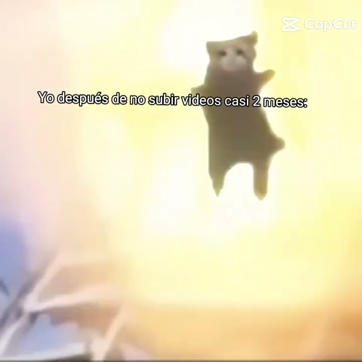 #Meme volvi tonotos🤓☝ - YouTube
