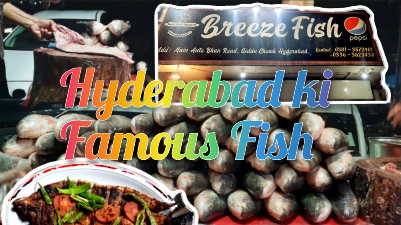 Hyderabad ki Famous Fish| Breeze fish point | - YouTube